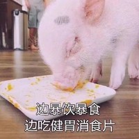 萌宠猪暴饮暴食吃饱了再减肥憨憨可爱gif动图_动态图_表情包下载_SOOGIF