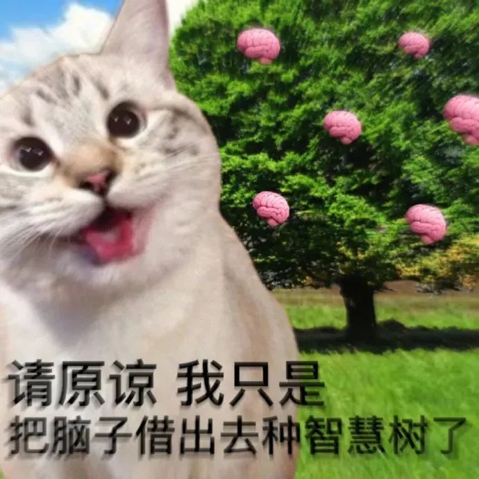 【笨蛋小猫表情包】gif动态图片 - 笨蛋小猫表情包动图表情包下载 - soogif动图
