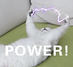 萌宠猫星人power强大呆萌可爱gif动图_动态图_表情包下载_SOOGIF