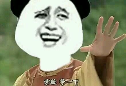 还珠格格紫薇尔康等一下gif动图_动态图_表情包下载_SOOGIF